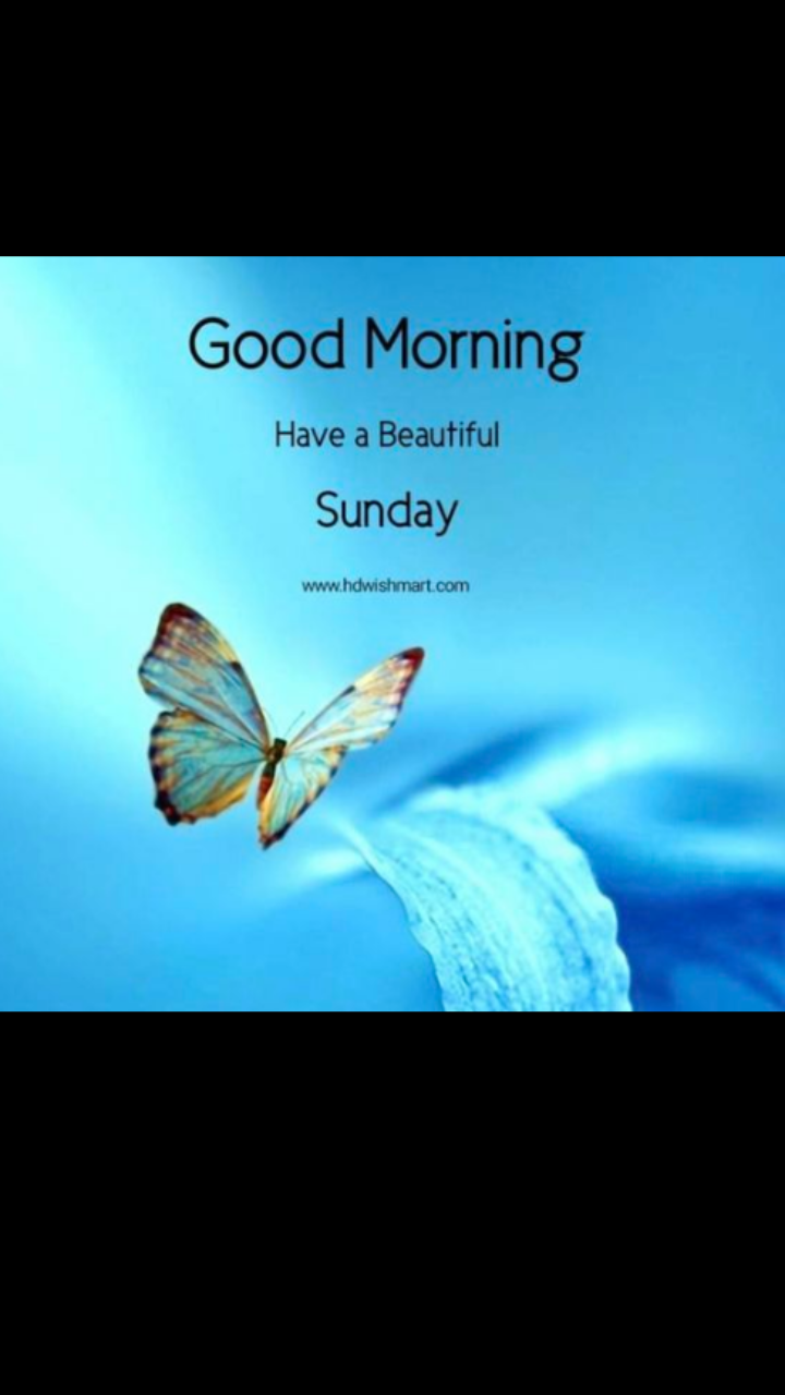 Beautiful Sunday Morning Quotes