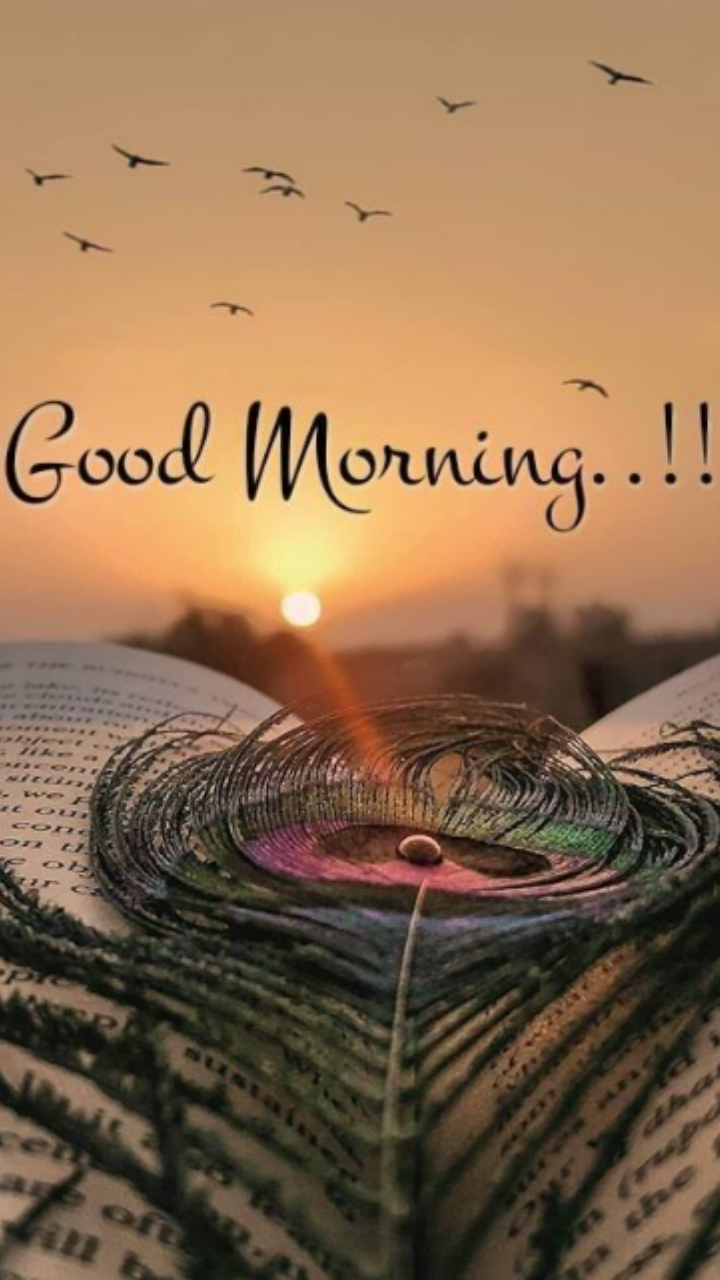 Good Morning Images Hd With Natural Beauty Of Nature - Infoupdate.org