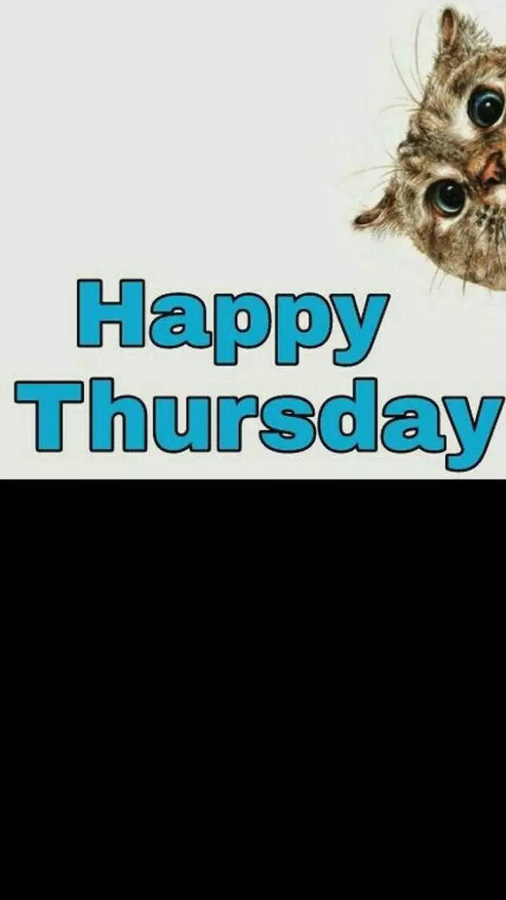 Happy Thursday Pets Eden Garden On X: "Good Morning! Happy Thursday!
