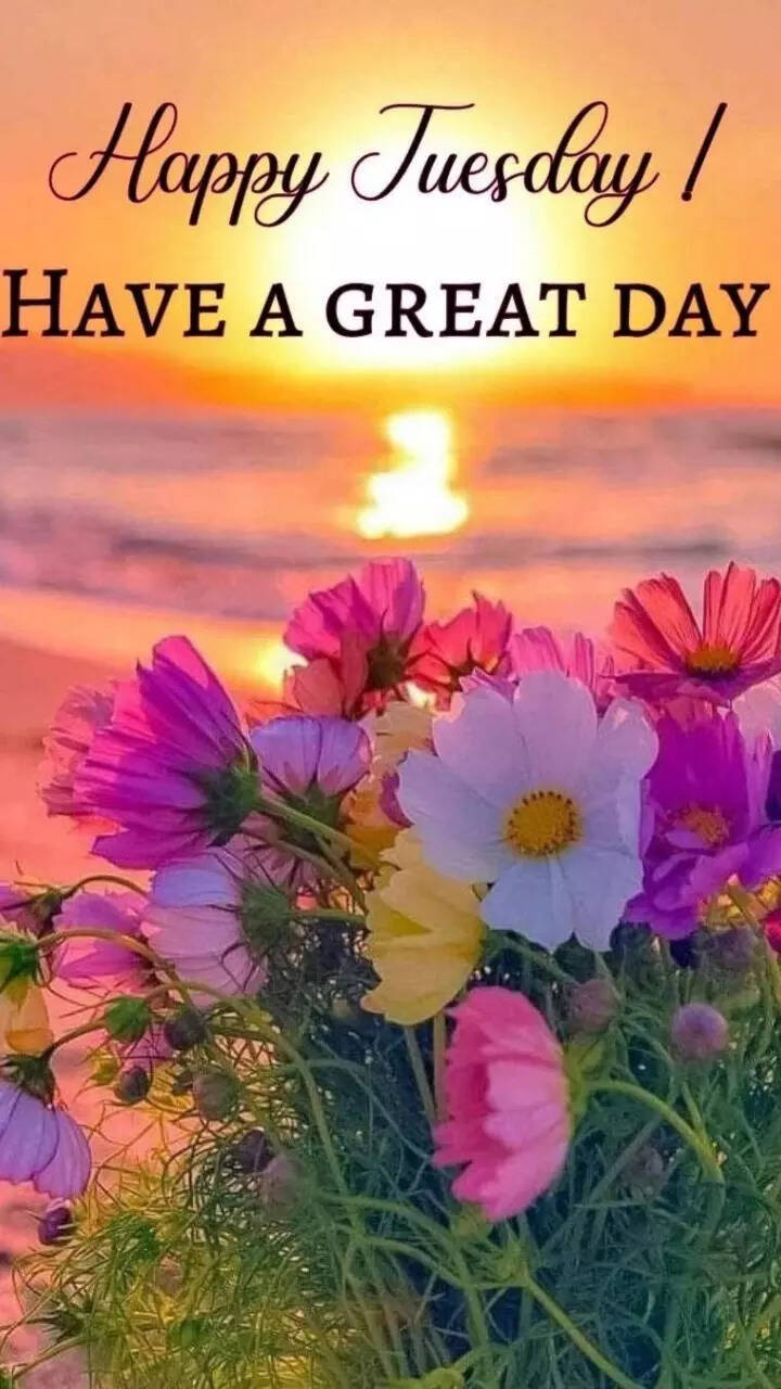 Good Morning Happy Tuesday Images