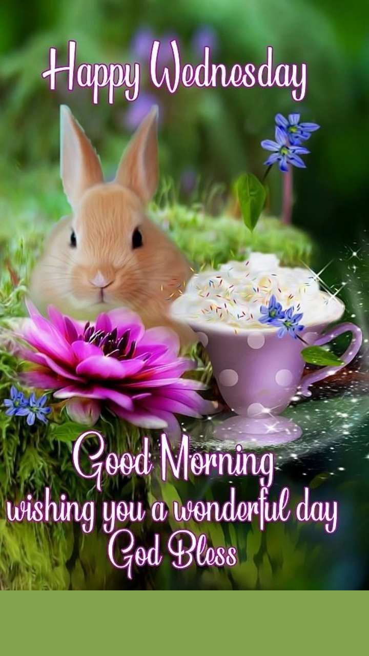 Wish You A Beautiful Day Happy Wednesday Pictures Happy Saturday