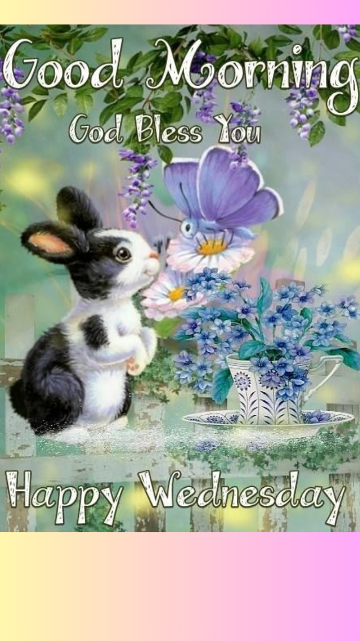 Happy Wednesday Animal