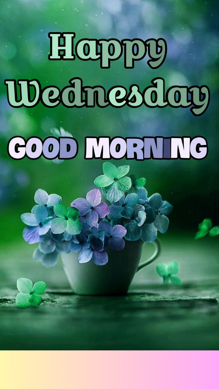 Wednesday Greetings Quotes 80+ Best Wednesday Blessings Images