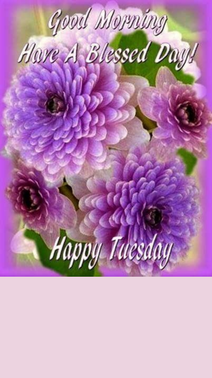 Good Tuesday Morning Flowers