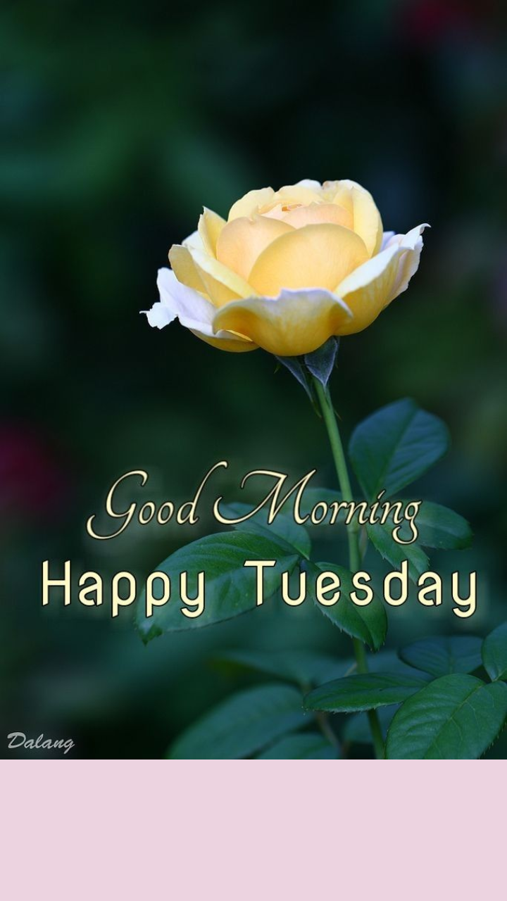 Good Morning Happy Tuesday Images