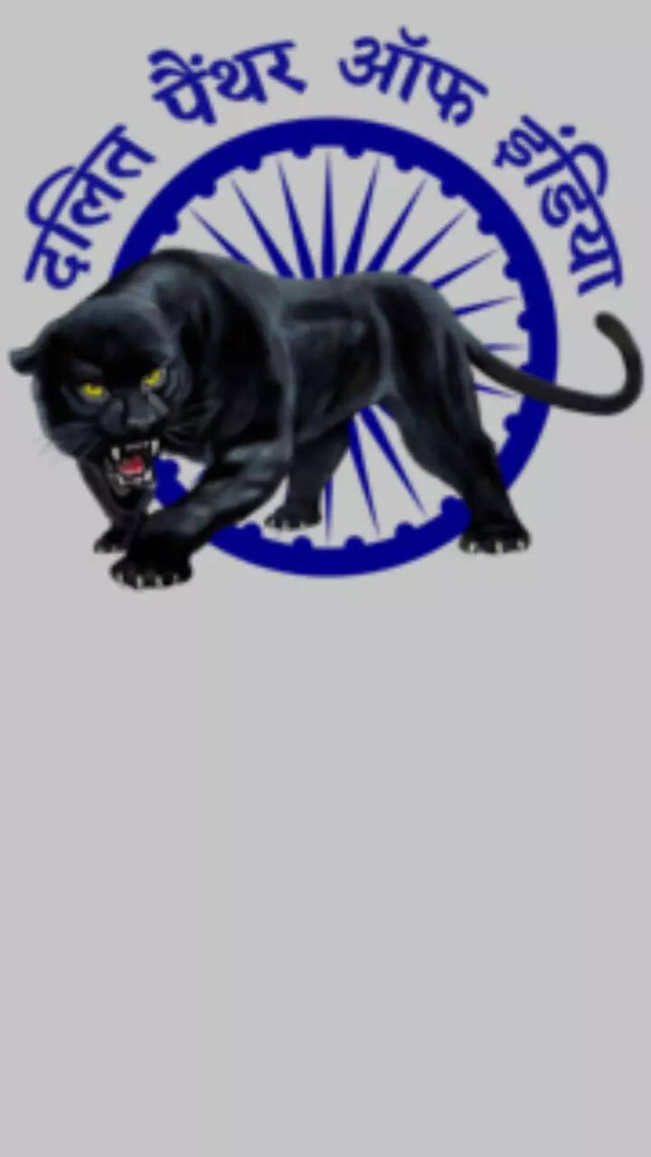 Dalit Panthers Logo