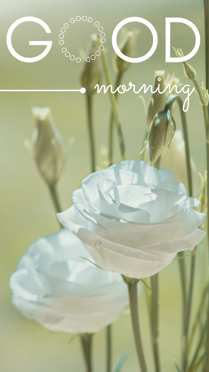 Morning Images Nature With Quotes