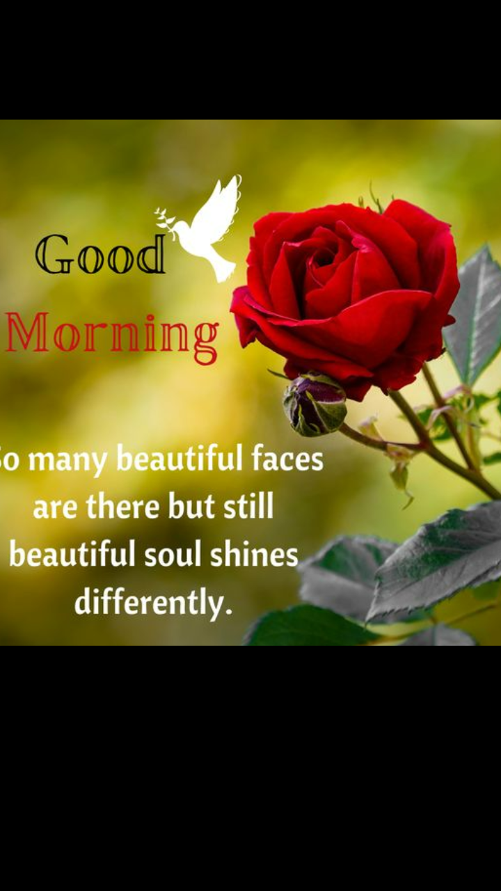 Most Beautiful Good Morning Images For Whatsapp - Infoupdate.org