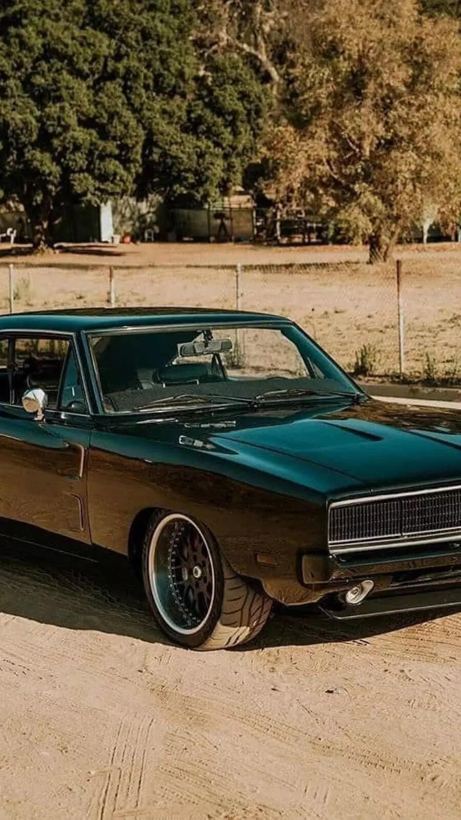 Hulk Hogan Cars