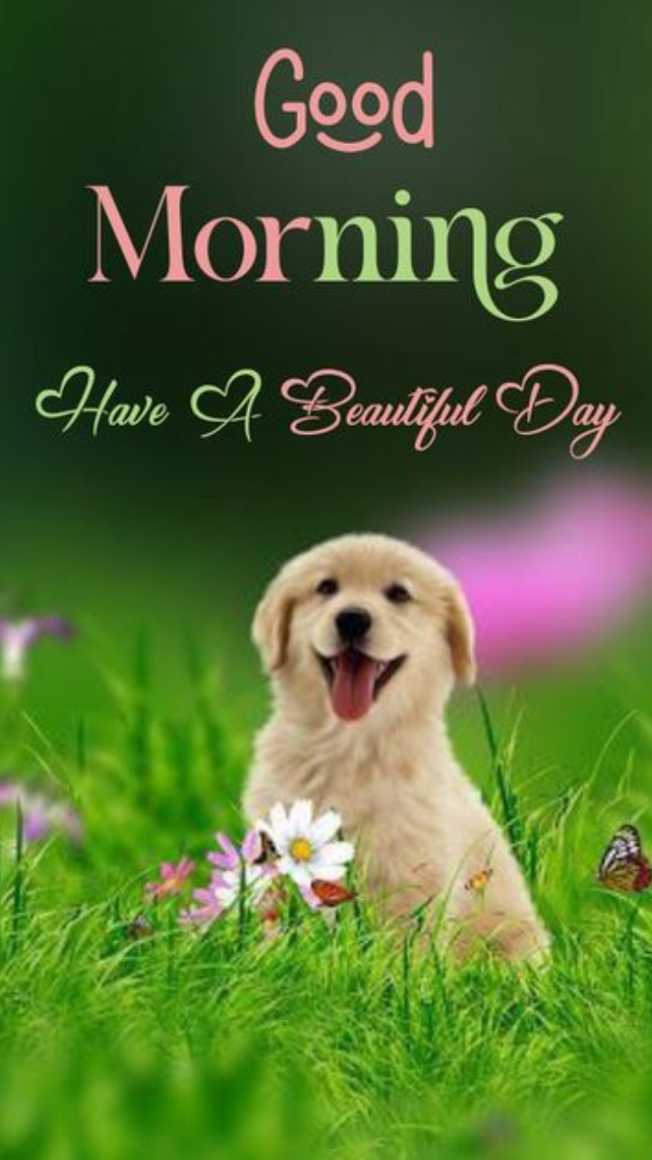 Good Morning Dog Pics