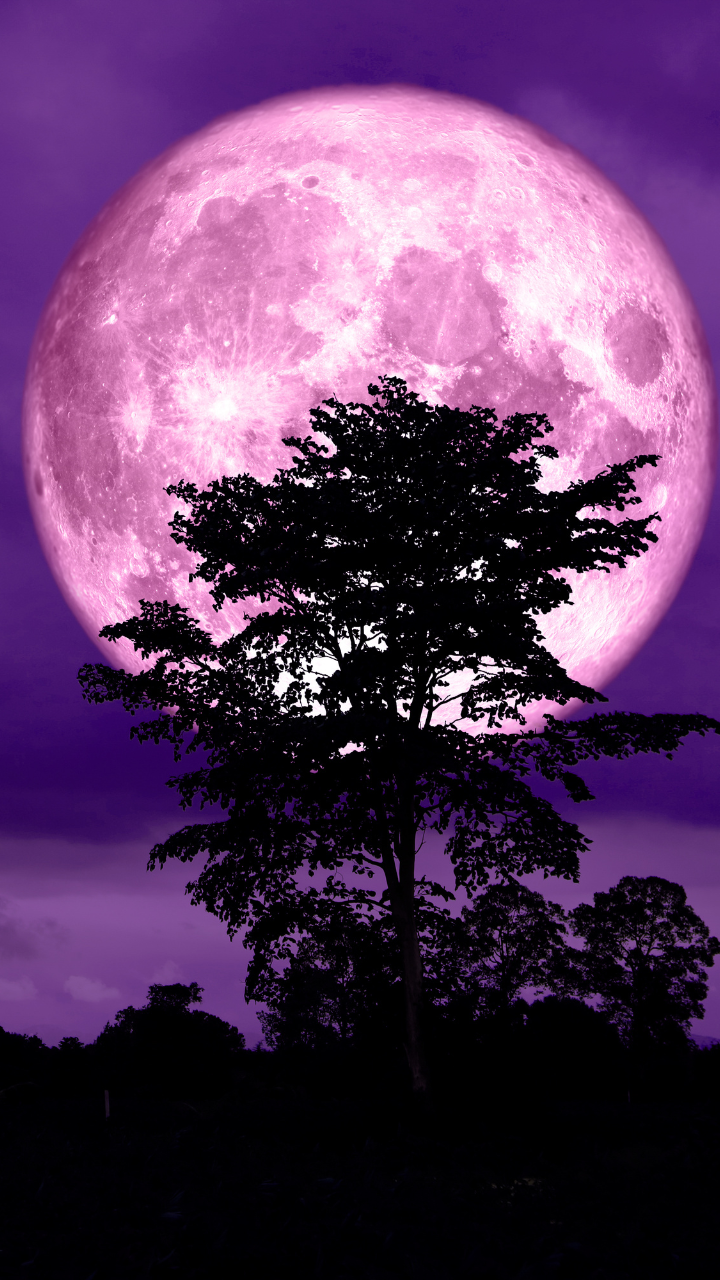 Full Pink Moon Wallpaper India To Witness The Stunning 'Pink Moon'