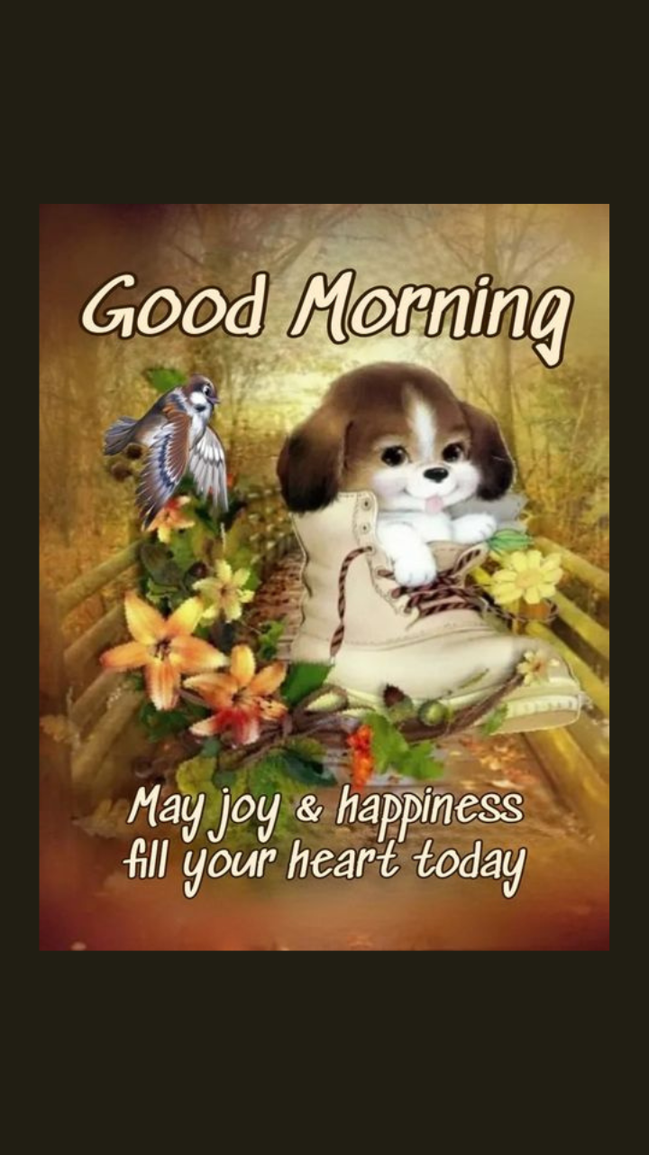 Cute Good Morning Images 100+ Gorgeous Good Morning Images To Make You