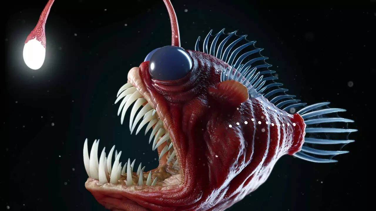 Anglerfish Finding Nemo Purple Anglerfish Stock Illustrations – 21