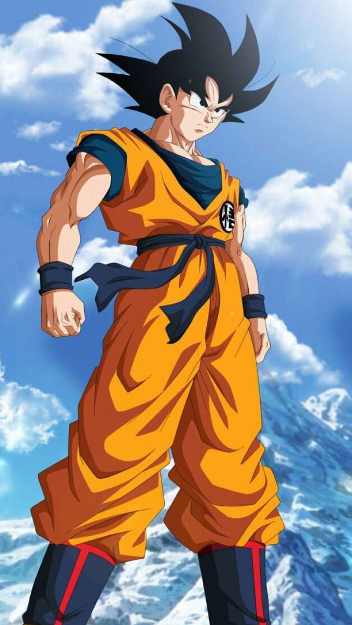 Goku Normal Form Wallpaper
