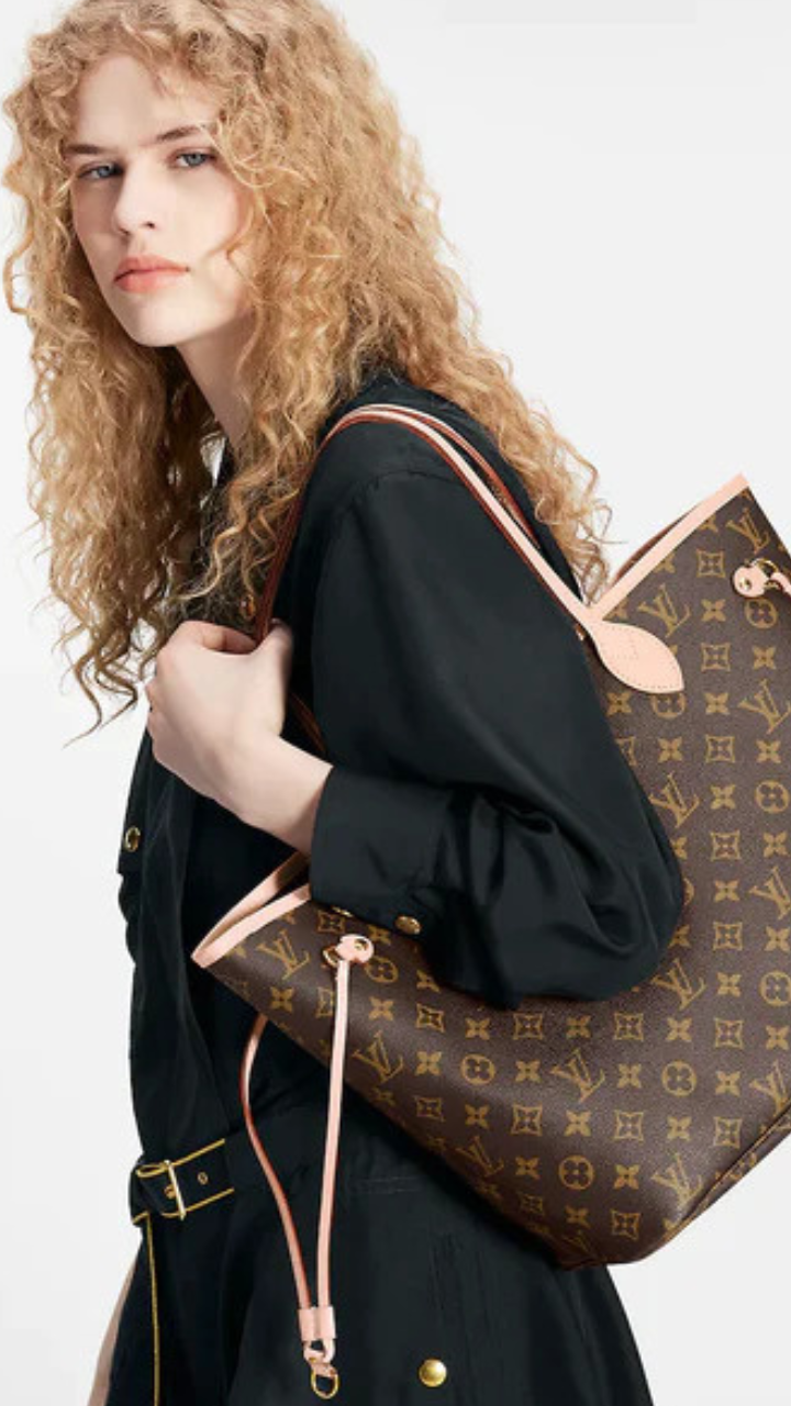 Louis vuitton bags india store