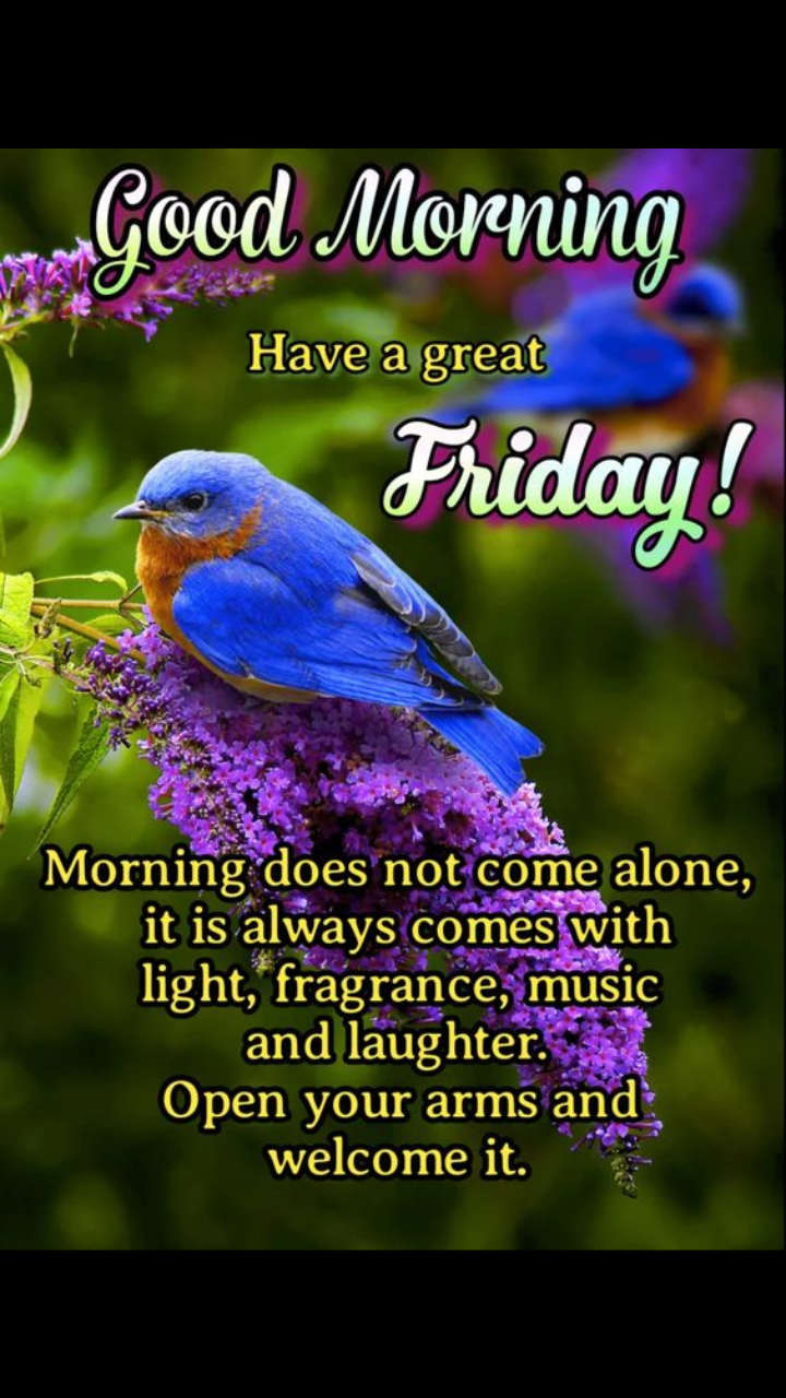 Have A Wonderful Friday Quotes 20 Best Friday Quotes To Kick Off The