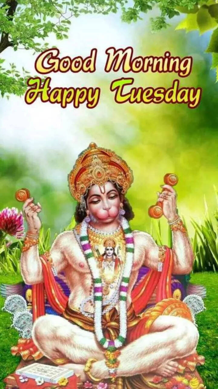 Happy Tuesday Morning Images Good Morning And Happy Tuesday! Wisdom