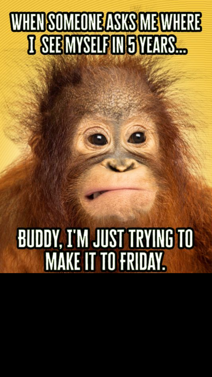 Good Morning Friday Funny Work Memes 30+ Funny Good Morning Memes In