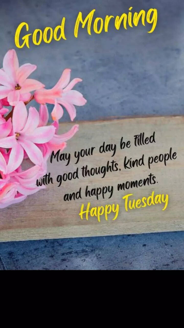 Happy Tuesday Morning Quotes Good Morning! Happy Tuesday!