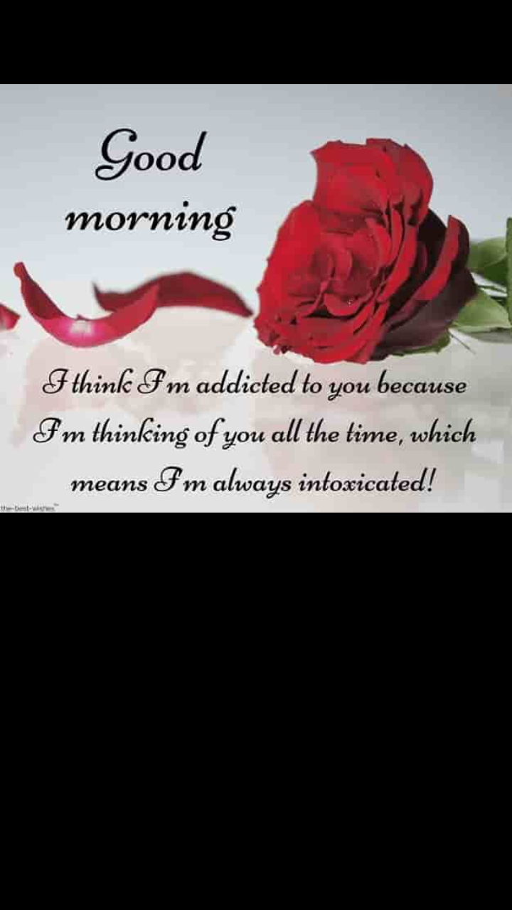 Good Morning Quotes With Roses