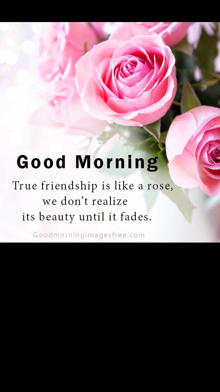 Images Of Rose Flowers With Good Morning Images With Quotes Images Of Rose Flowers With Good Morning Images With Quotes