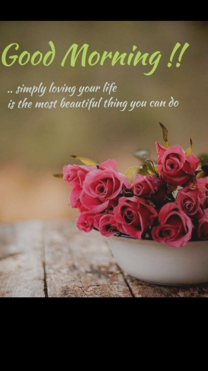 Morning Roses Quotes Good Morning Rose Images And Quotes – Beautiful