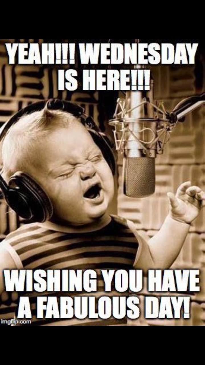 Good Morning Wednesday Meme Good Morning Wednesday Funny 2025