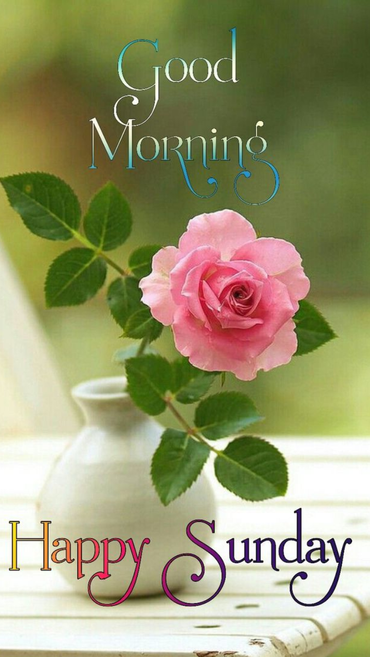 Sunday Good Morning Images With Quotes Good Morning Sunday GIFs