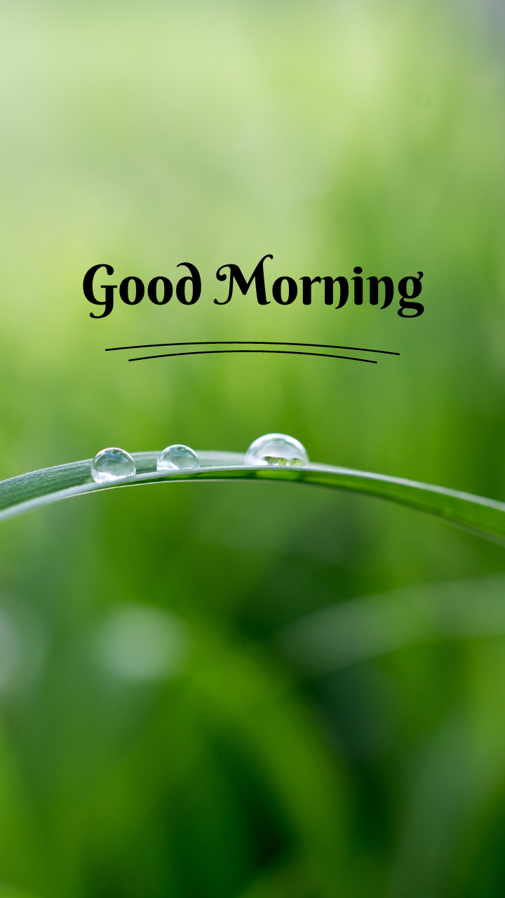 Good Morning Wednesday Hd Images 50 + Good Morning Happy Wednesday