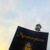 Metamorphosis Work Quotes Excerpt From The Metamorphosis | Penguin