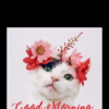 Funny Cat Good Morning Beautiful Good Morning Wishes With Cat Images