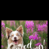Dog Quotes Good Morning Good Morning Wishes With Dog Images | Times