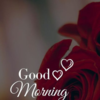 Beautiful Good Morning Messages For Your Wife Times Now