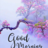 Good Morning Images With Nature Free Refreshing Good Morning With