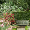 World Most Beautiful Rose Gardens
