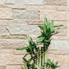 Bamboo Arrangement Ideas