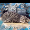 Happy Friday Funny