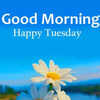 Happy tuesday good morning store