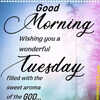 Tuesday Morning God Quotes