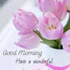 Monday Good Morning Monday morning images and quotes to share on WhatsApp Times Now