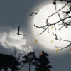Pros and cons of each zodiac sign - Horoscopeaz.com