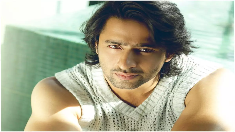 Shaheer Sheikh shows off his dramatic physical transformation in three ...