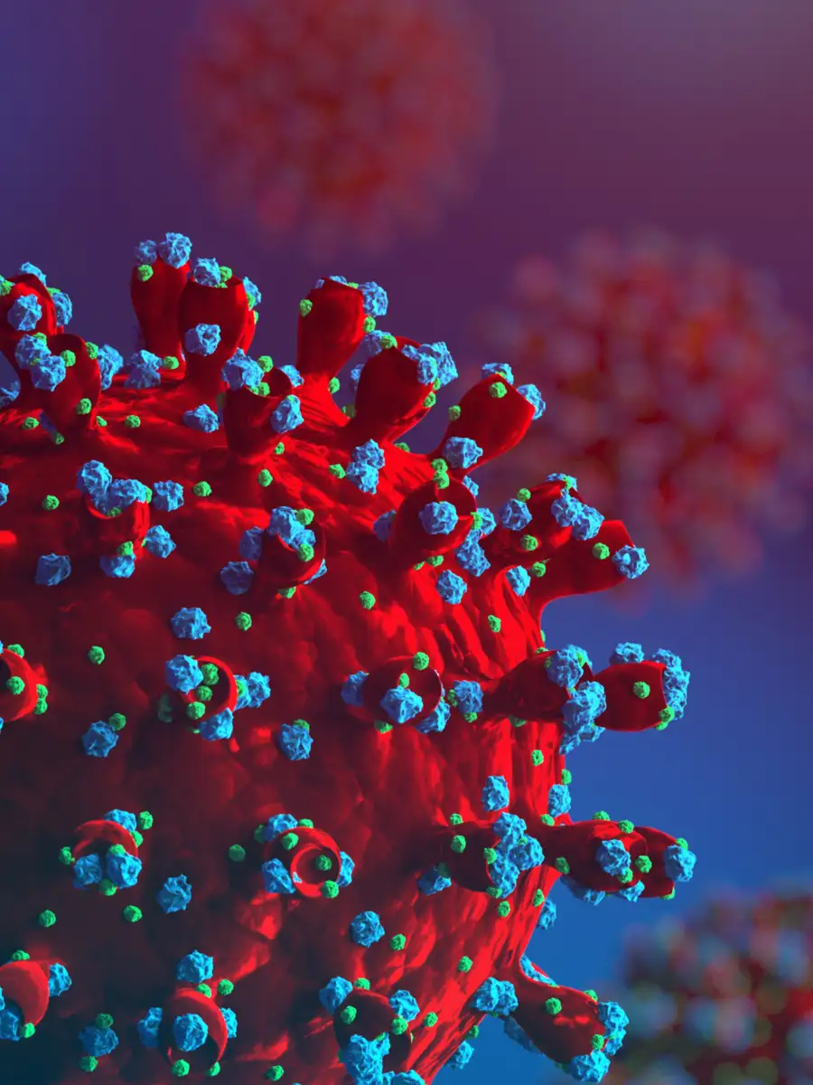 Symptoms of H3N2 Influenza A Virus