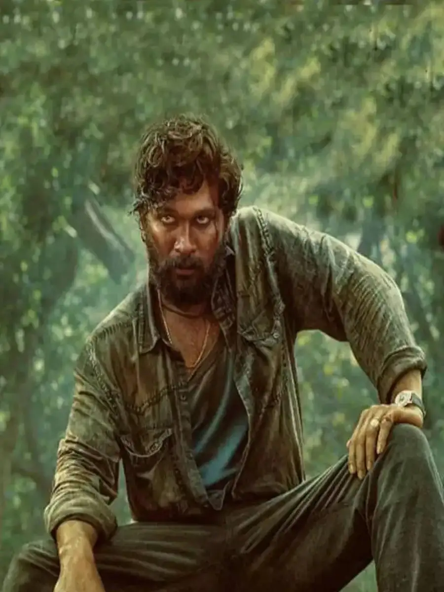 Highest grossing movies of Allu Arjun