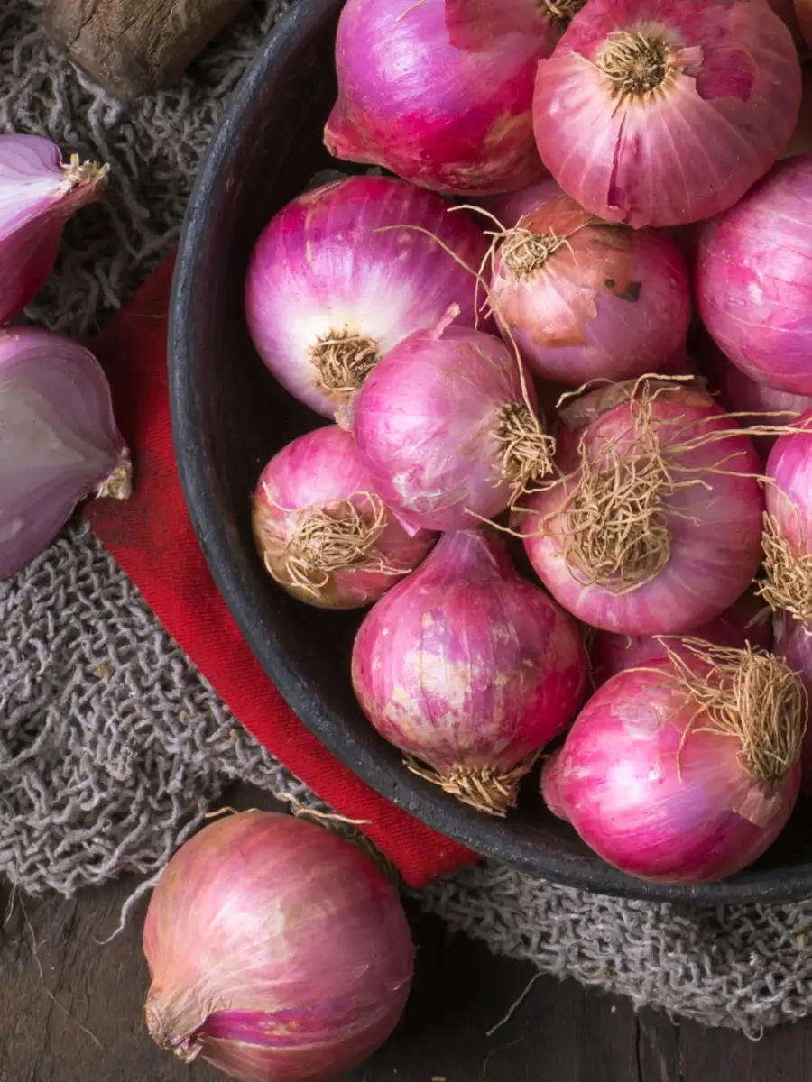 Benefits of eating onions