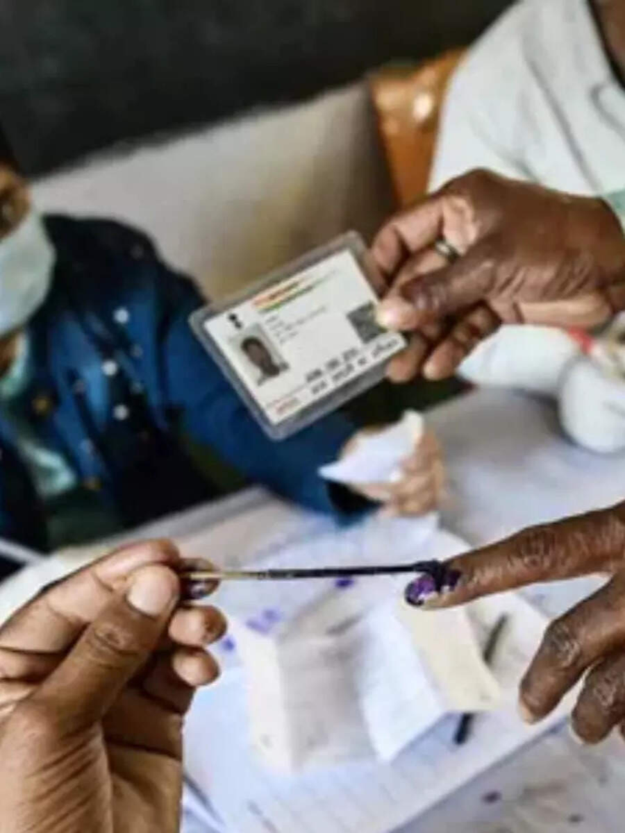 Not Just Voter ID Card: From PAN to Aadhaar, these documents work at ...