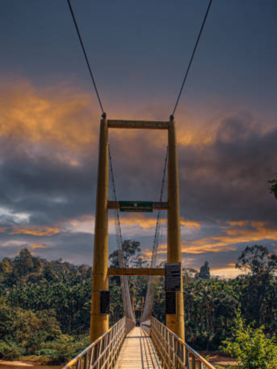 8 Famous Hanging Bridges In India | Times Now
