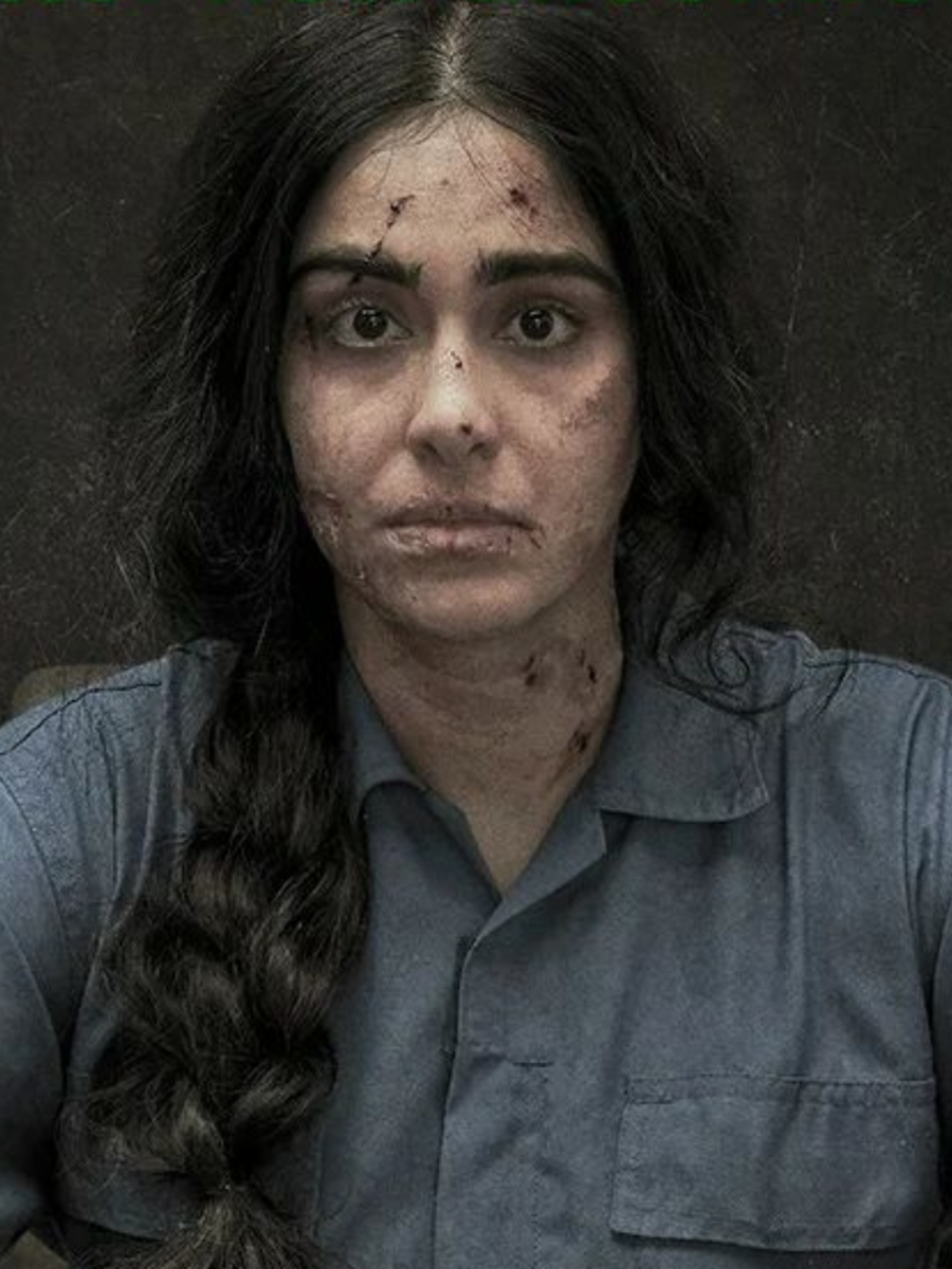 The Kerala Story Box Office Collection Day 20: Adah Sharma Starrer Crosses Shah Rukh Khan ...