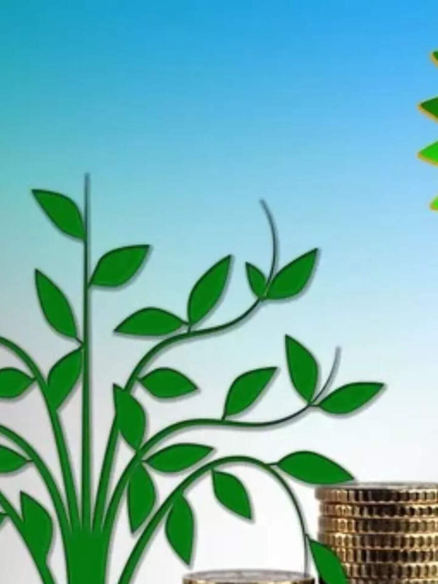 What is Green Fund: All you need to know before investing | ET Now