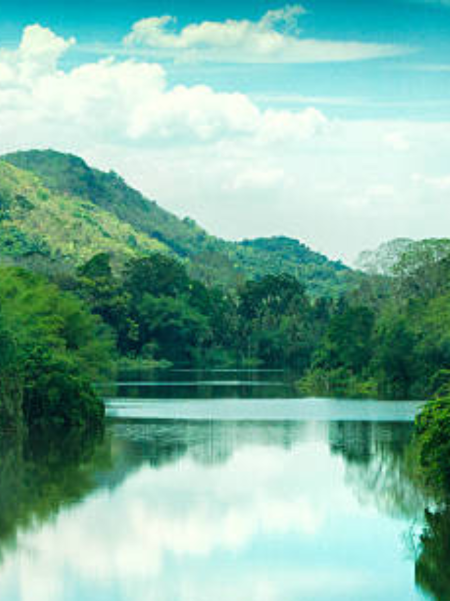 7 Longest Iconic Rivers In India: Majestic Flows | Times Now